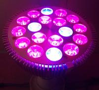 China 12 Watt Greenhouse LED Grow Lights Aluminum 1000LM 90V-265V E27 High Efficiency for sale