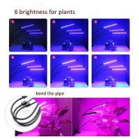 China 30 Watt Greenhouse LED Grow Lights Adjustable Arm 3000LM Flower Vegetable OEM Accepted for sale