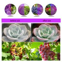 China LED Three - Tube Grow Lights For Indoor Plants , Cycle Timing Full Spectrum Grow Lights for sale