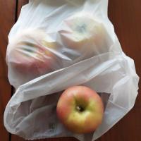 China Flat 100% Biodegradable Food Packaging Bags EN13432 Semi - Transparent for sale