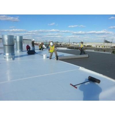 China Construction Material Tpo Waterproof Roofing Resisting Ultraviolet Ozone 1.5mm for sale