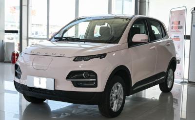 China 2022 Dayun Automobile EV Yuehu 300 5 Doors 5 Seats SUV Cltc 300Km for sale
