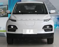 China Deluxe Edition 2022 Dayun Yuehu 300 5 Doors 5 Seater SUV Cltc 300Km for sale