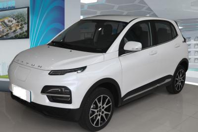 China Deluxe Edition 2022 Dayun Yuehu 300 5 Doors 5 Seater SUV Cltc 300Km for sale