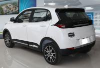 China Deluxe Edition 2022 Dayun Yuehu 300 5 Doors 5 Seater SUV Cltc 300Km for sale