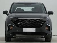 China 2.0T 236HP L4 Hyundai Vehicles Hyundai Custo 2021 380TGDi Flagship for sale