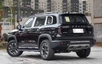 China 4WD Compact SUV Haval Vehicle Haval Dargo 2022 2.0T DCT for sale