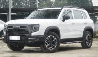 China Chinese Pastoral Dog Version Haval Vehicle Haval Dargo 2022 2.0T DCT 4WD 5 Door 7 Seat for sale