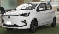 China NEDC 301km Range Changan Automobile EV Changan Benben E-Star 2022 for sale