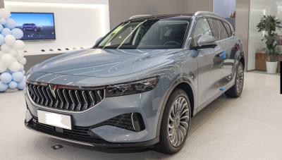 China Pure Electric VOYAH Free 2021 Two Drive Middle Large EV SUV NEDC 505km for sale