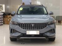 China Pure Electric VOYAH Free 2021 Two Drive Middle Large EV SUV NEDC 505km for sale