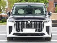 China Electric MPV VOYAH Dreamer 2022 Low Carbon Version Think Intelligent Driving for sale
