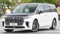 China Electric MPV VOYAH Dreamer 2022 Low Carbon Version Think Intelligent Driving for sale
