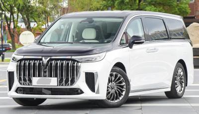 China Electric MPV VOYAH Dreamer 2022 Low Carbon Version Think Intelligent Driving for sale