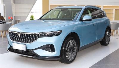 China 4WD VOYAH Electric Car VOYAH FREE 2021 Extended Range Edition Medium Large SUV for sale