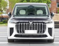 China 5 Door 7 Seats MPV VOYAH Electric Car VOYAH Dreamer 2022 Private Customized for sale