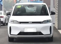 China Pure Electric Car BYD D1 2022 Standard Edition 418km 5 Door 5 Seats MPV for sale