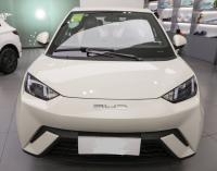 China 305km Hatchback BYD Electric Vehicle BYD Seagull 2023 Vitality Version 5 Door 4 Seat for sale