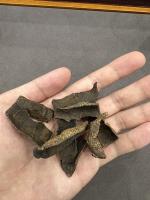 China Oud Wood Agarwood Logs Scent Raw Material For Meditation And Relaxation for sale