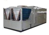 China CE Certification Rooftop HVAC Unit For Shopping Mall Air Conditioning System for sale