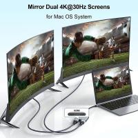 China Type C Male to Dual HDMI Female Thunderbolt 3 USB-C Multi-Monitor Adapter Cable 4K 30Hz for sale