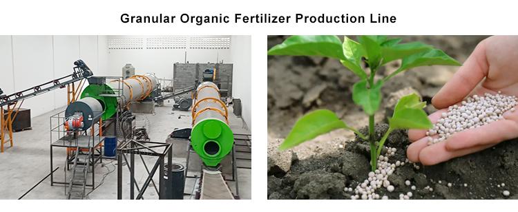 Granular organic fertilizer production line