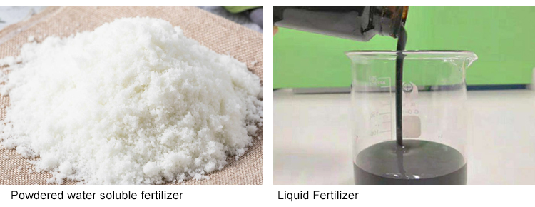 Water soluble fertilizer
