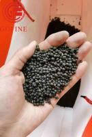 China Urea New Type Organic Fertilizer Granulator Fertilizer Pellet Making Machine for sale