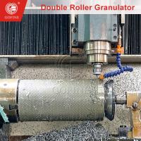 China Double Roller Fertilizer Granulator Machine with 1-200,000 Tons Annual Capacity for Organic and Inorganic Production for sale