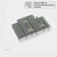China Sleek Anodized Aluminum Extrusion Heat Sinks Customized with Screw Mount Corrosion Resistance for sale