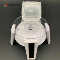 China 5*10mm2 SP-Face Un-Doped N-Type Free-Standing GaN Single Crystal Substrate 20-21 / 20-2-1 10mm2 Resistivity 0.05 Ω·cm for sale