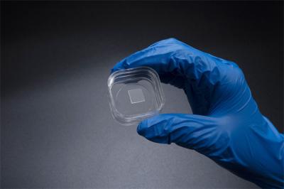 China Thickness 350 ±25 µm 10 X 10.5 mm2 Free-Standing GaN Substrates for sale