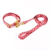 China Hardware Print Fray Proof Adjustable Nylon Dog Collar/dog leash/dog harness for sale