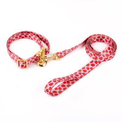 China Hardware Print Fray Proof Adjustable Nylon Dog Collar/dog leash/dog harness for sale