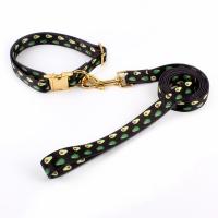China Hardware Print Fray Proof Adjustable Nylon Dog Collar/dog leash/dog harness for sale