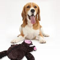 China Washable PP Fiber Filling Interactive Dog Toys/pet toys for sale