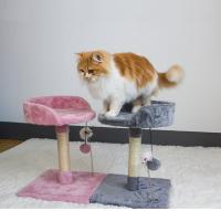 China 34cm Interactive Sisal Cat Scratching Post for sale