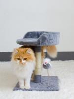 China 34cm Interactive Sisal Cat Scratching Post for sale
