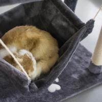 China Dark Grey Detachable Sisal Cat Scratching trees toys for sale