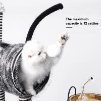 China Sustainable Cute Zebra ODM Cat Scratcher Tree for sale