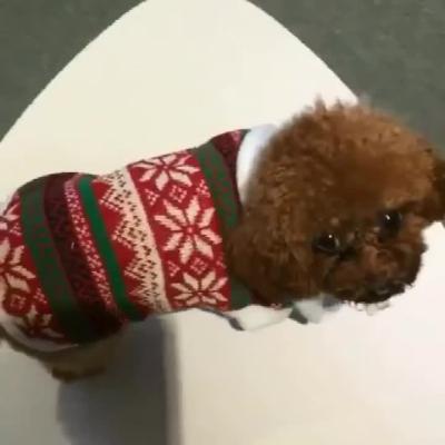 China 35cm Sleeveless Soft Plush Dog Christmas Coat for sale