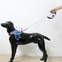 China OEM Retractable Nylon Dog Collar Leash for sale