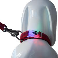 China Sustainable Reflective Fray Proof Pet Collars Leashes/pet products for sale