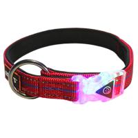 China Sustainable Reflective Fray Proof Pet Collars Leashes/pet products for sale
