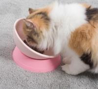 China High Quality  Anti Slip 16*7cm Adjustable Pet Bowl for sale