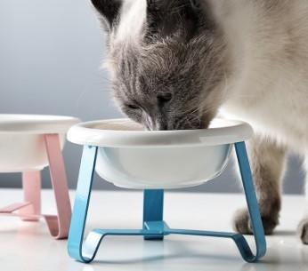 China Round Anti Slip 15.5*7cm Pet Food Feeder for sale