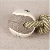 China Tennis Balls Nylon Rope Dumbbell Dog Toy for sale