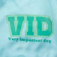 China Nice Blue Fashion Stocked 30cm Cute Dog Clothes for sale