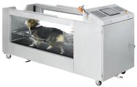 China SGS 3HP Dog Water Hydrotherapy Treadmill speed adjustable for sale
