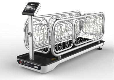 China BSCI Stainless Steel Walking Jogger Dog Exercise Treadmill for sale